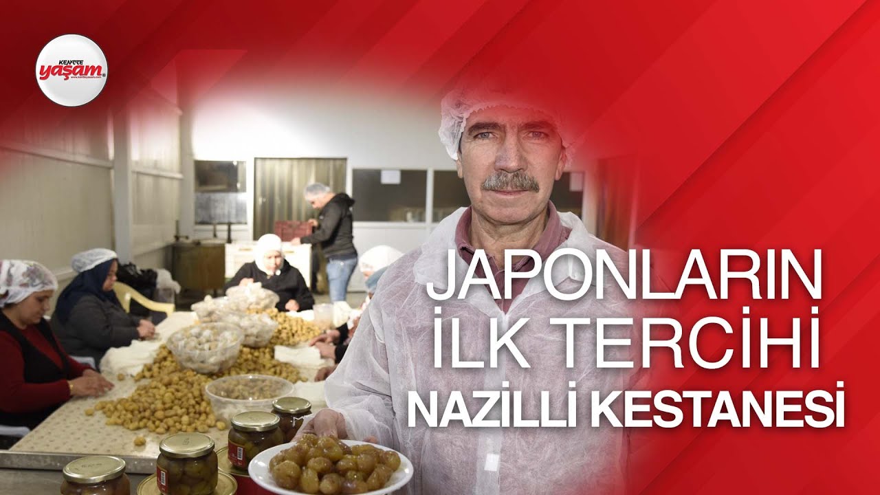 Japonların İlk Tercihi Nazilli Kestanesi - YouTube