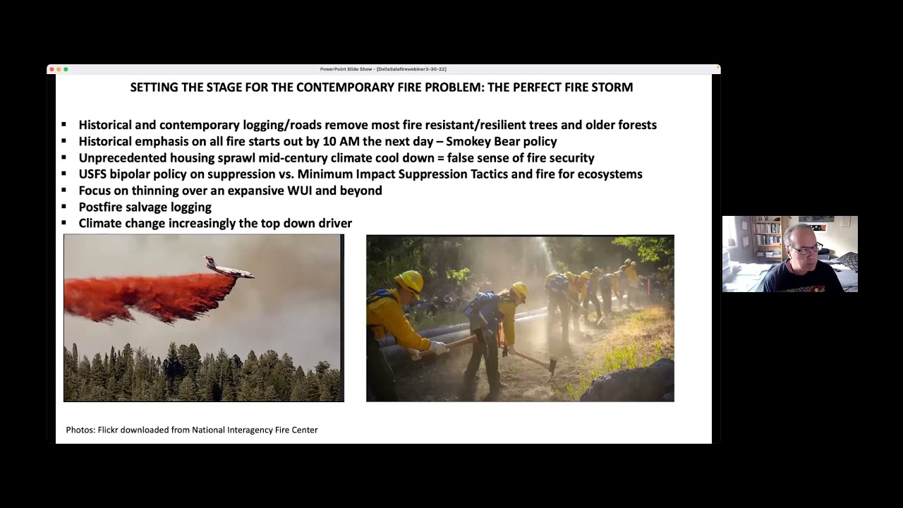 Understanding the Science: Is Modern Fire Suppression and Forest ...