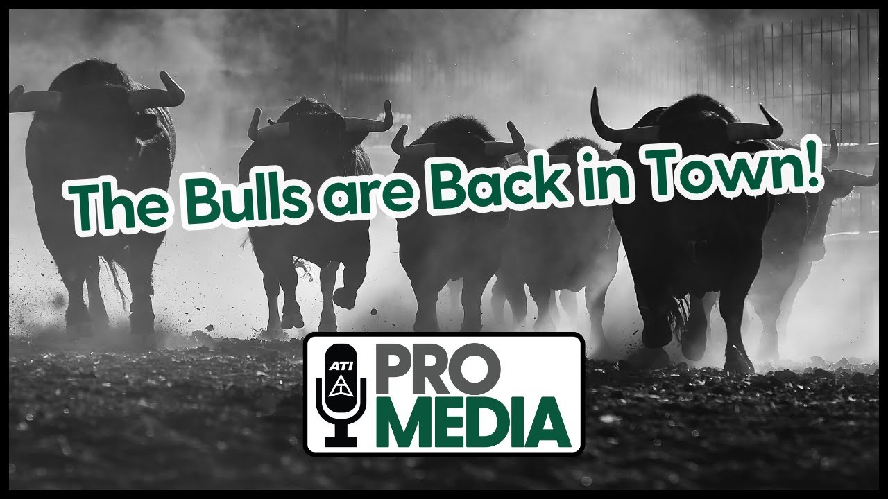 The Bulls are Back in Town! - YouTube
