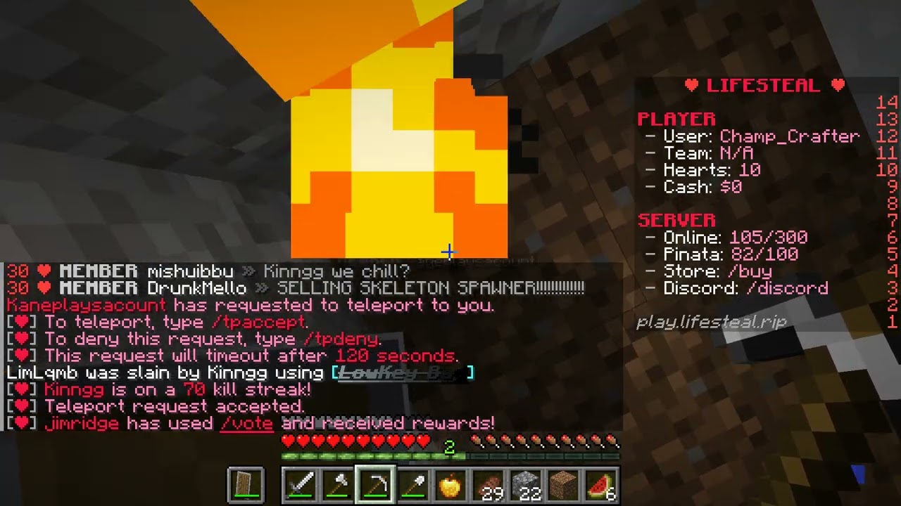 Minecraft Lifesteal Part 1! - YouTube