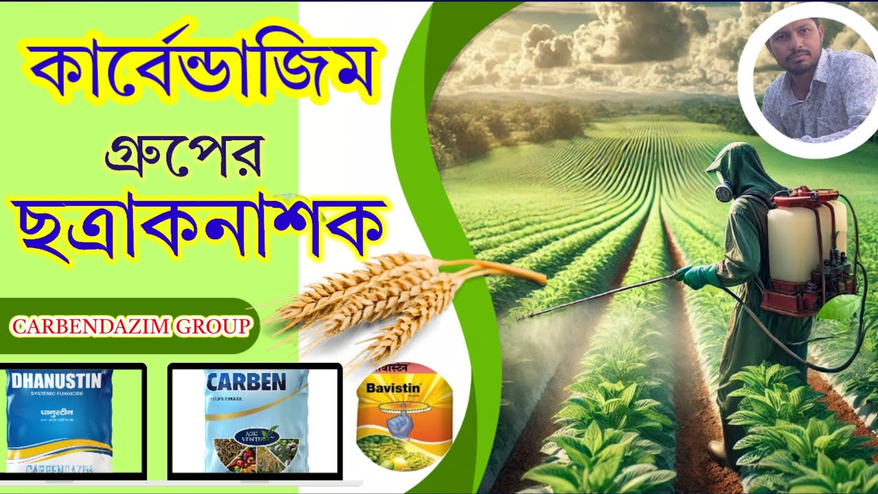 Carbendazime Group fungicide l কার্বেন্ডাজিম গ্রুপের ছত্রাকনাশক - YouTube