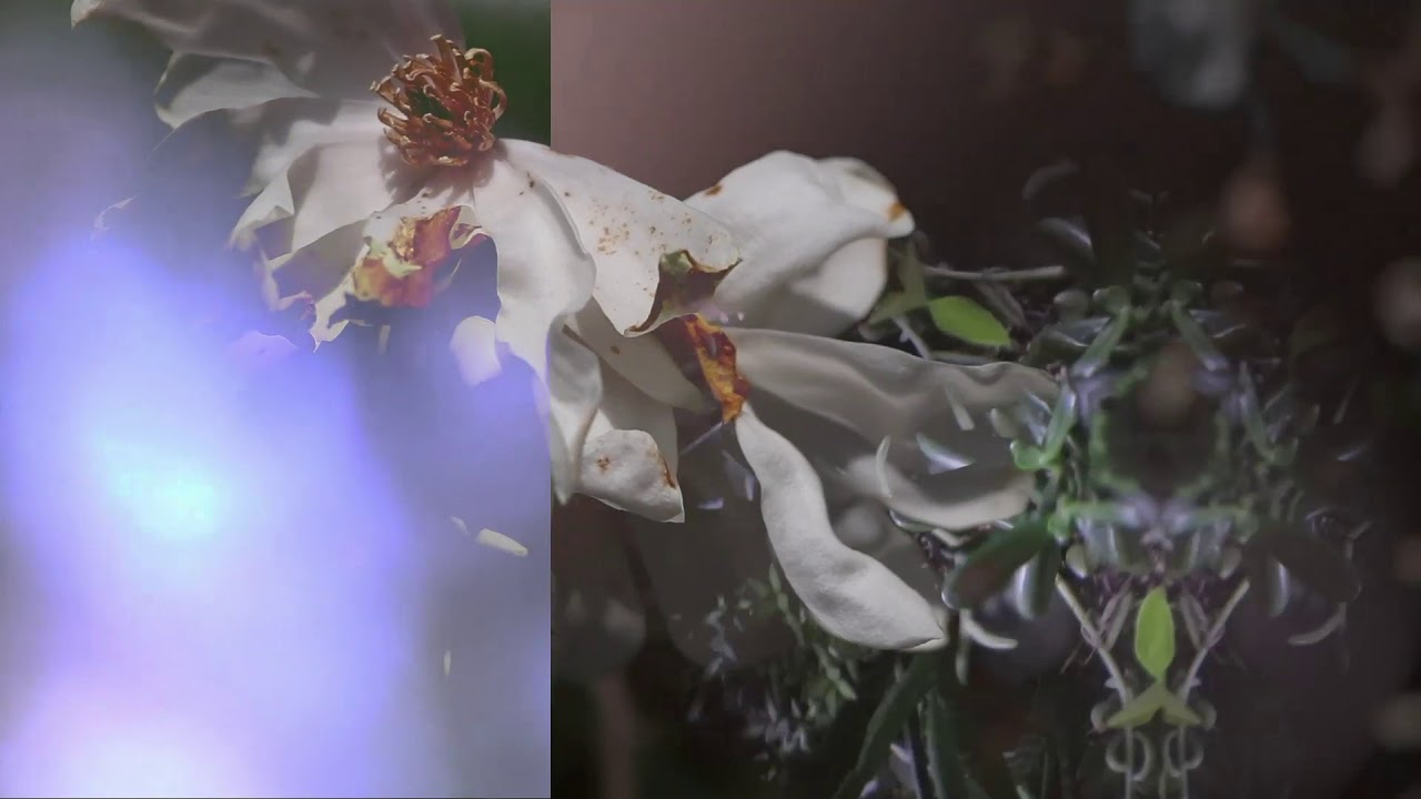 Ooog (music video) - YouTube