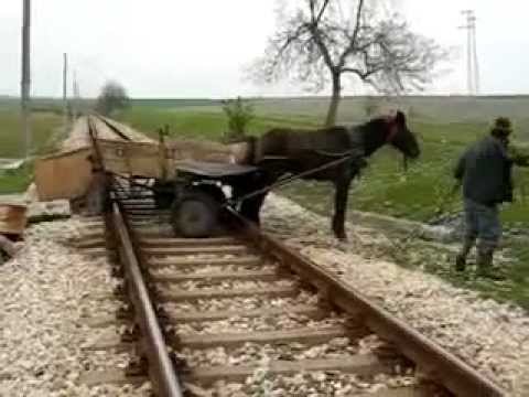 Horse crossing RailRoad Fail. - YouTube