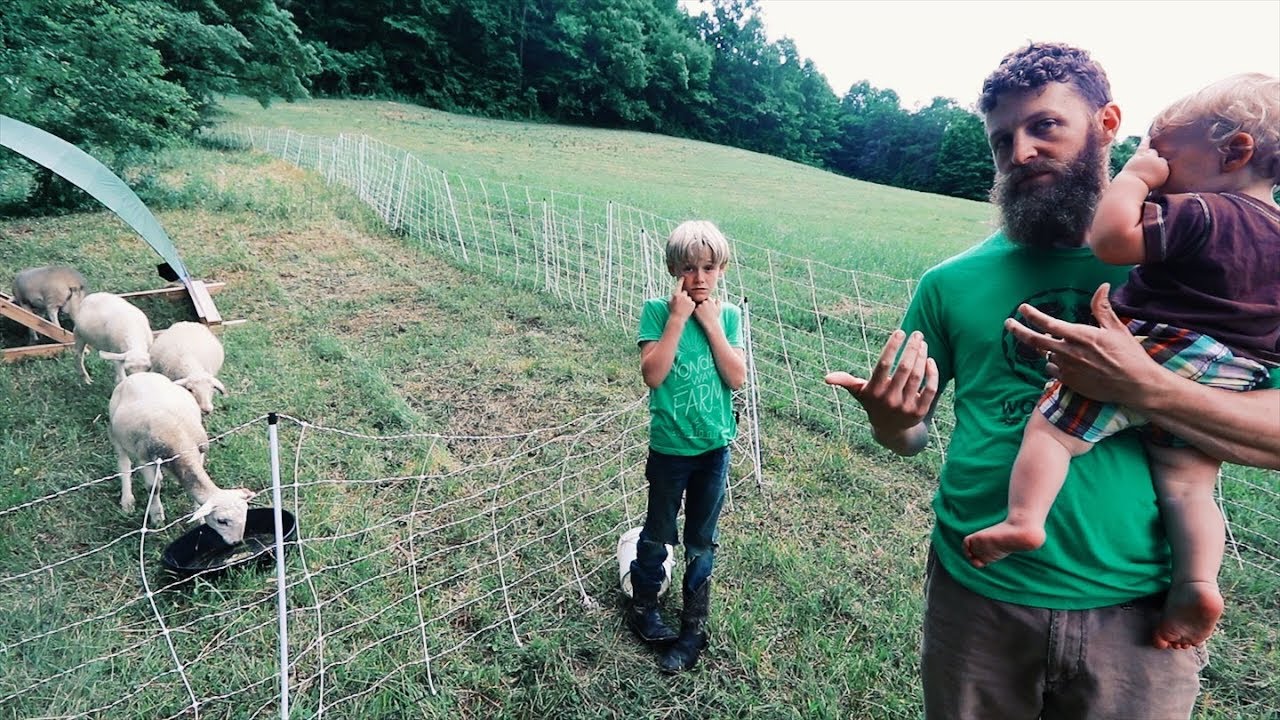 Expert explains Peaceful sheep butchering - YouTube