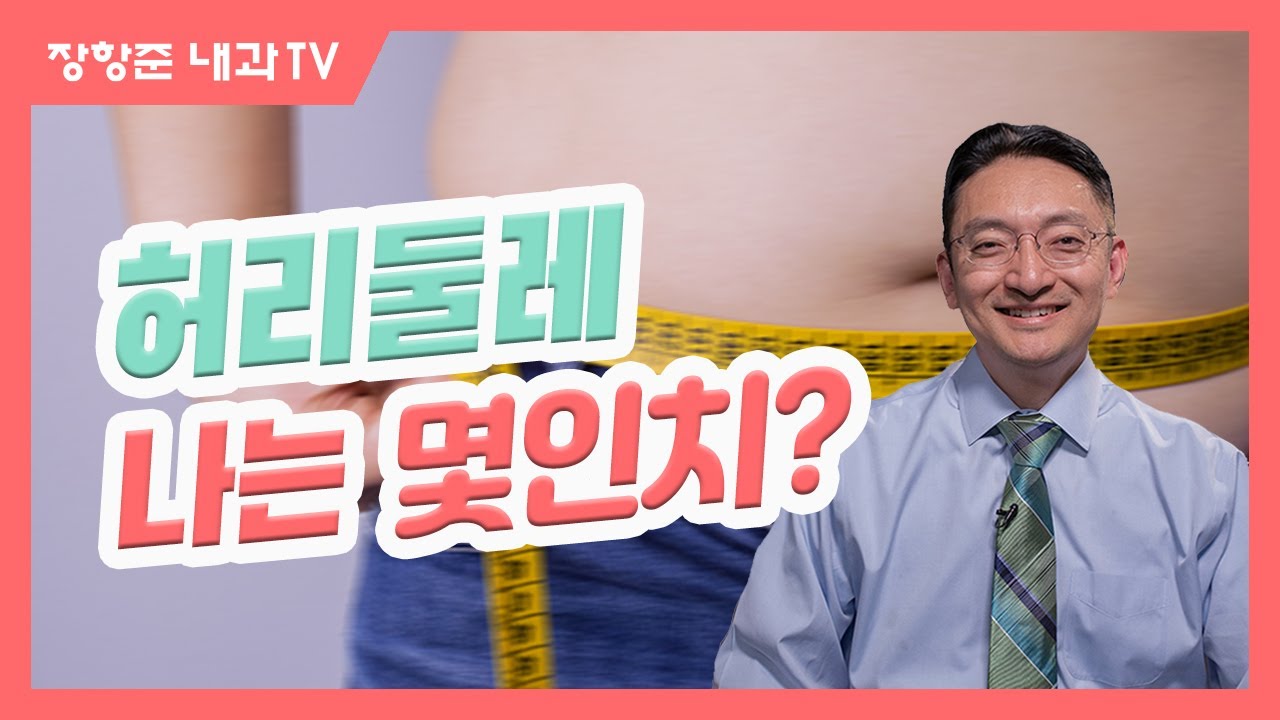 제7강 복부 비만의 위험 내장 지방 허리 둘레 관계 Youtube