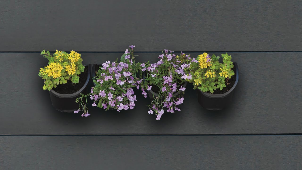 Verticale muurtuin 6020289 - YouTube