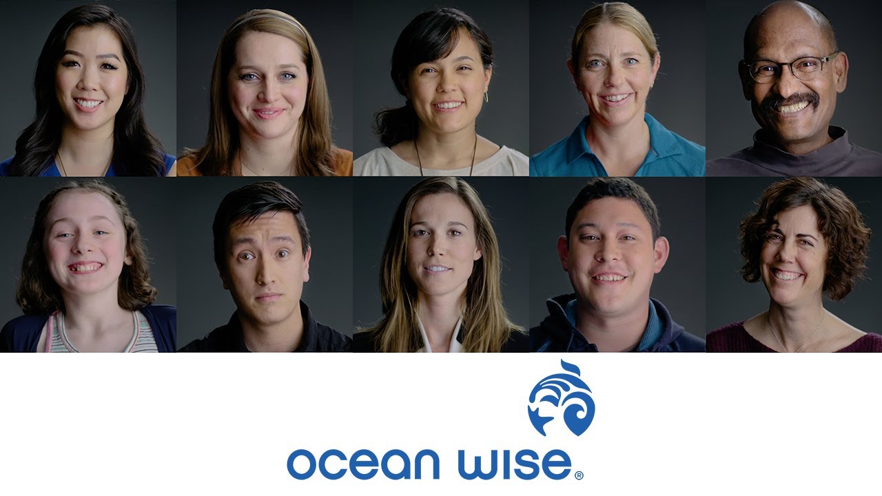 We Are Ocean Wise - YouTube