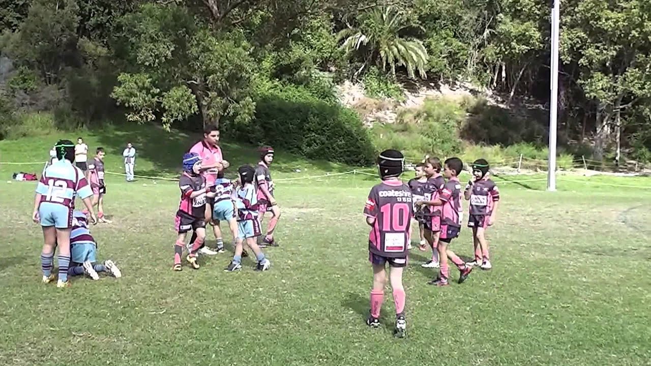 Concord Burwood Wolves U/8's Pink vs Carlingford Cougars. Round 5. 5 ...