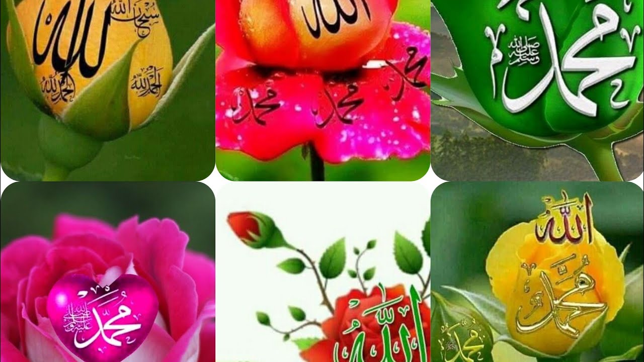 Mashallah Allah Muhammad ke name flower Dps // allah name rose ...