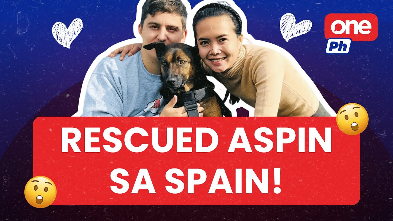 Aspin, muling nakapiling ang furmom sa Spain! - YouTube