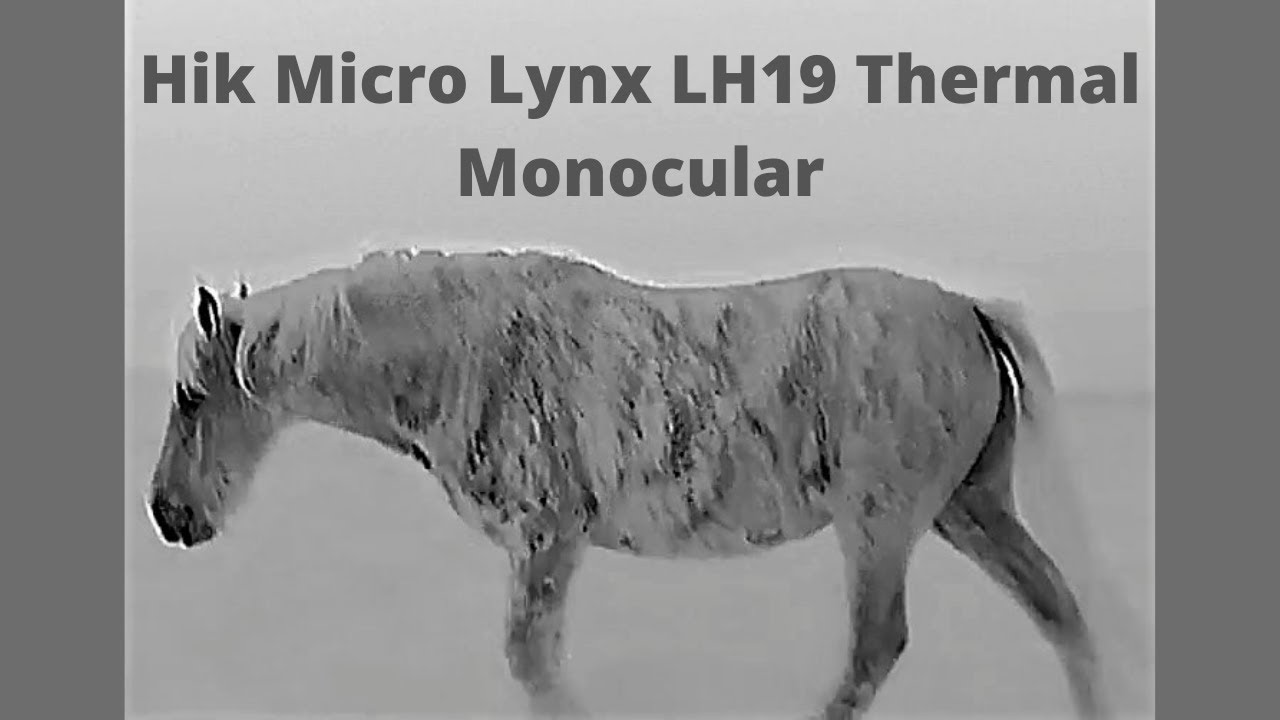 Hik Micro Lynx LH19 Smart Thermal Monocular - YouTube