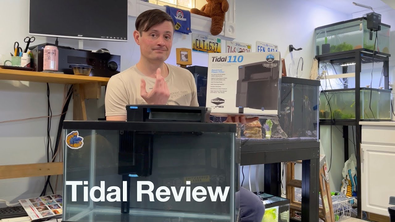 Seachem Tidal Filter Review - YouTube