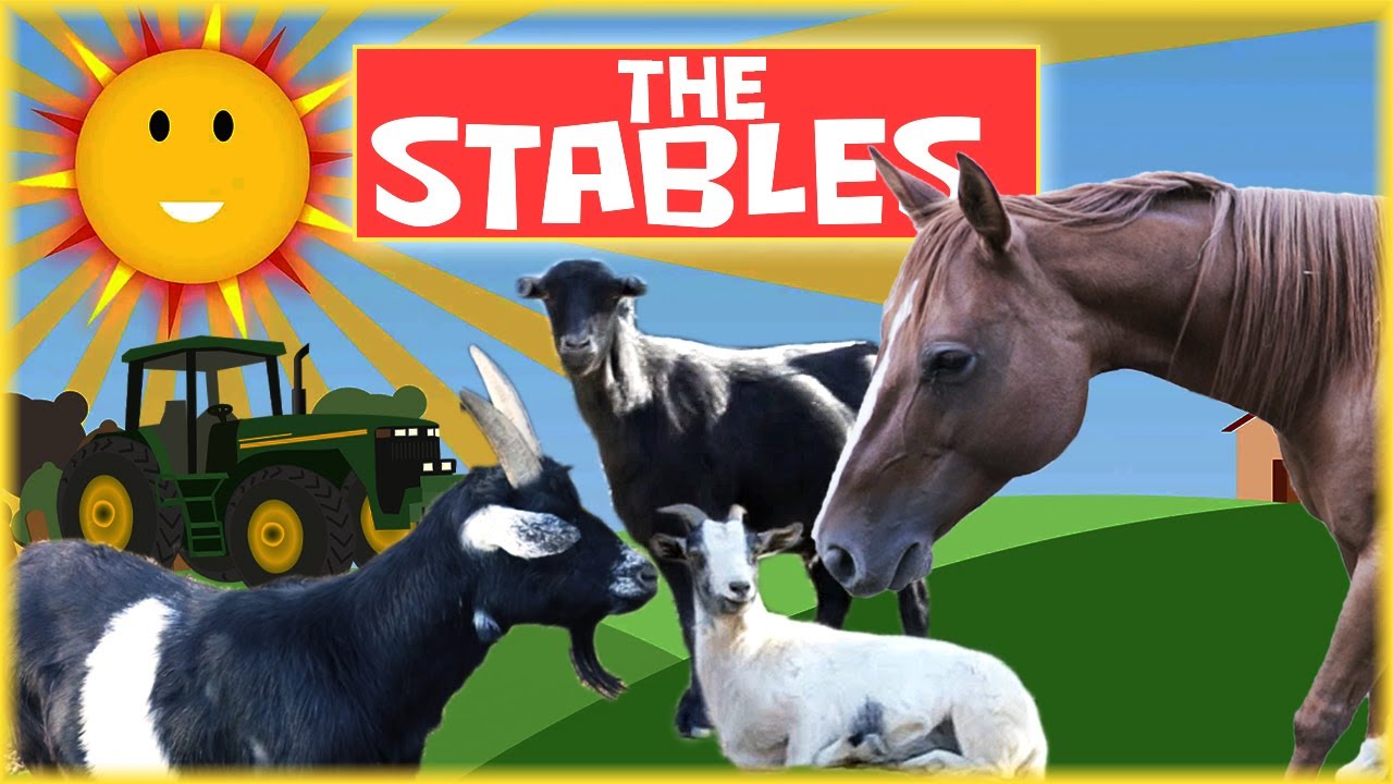 Kids Horse Adventure | Kids Horseback Riding at the Stables - YouTube