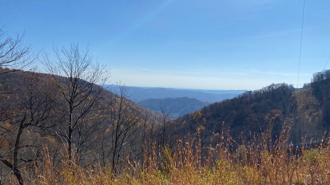 white stone root digging with my son John #wildlife #kentucky #roots # ...