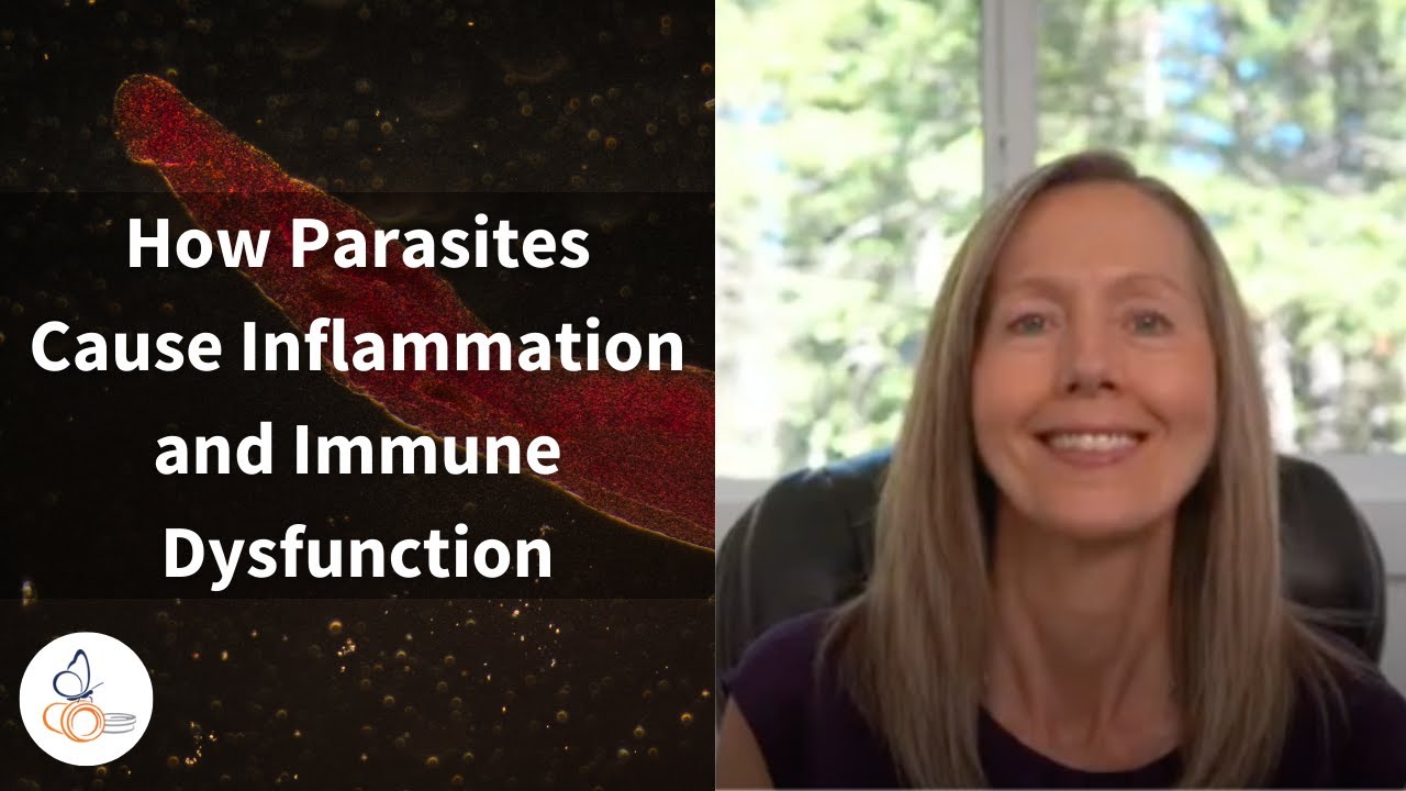 How Parasites Cause Inflammation and Immune Dysfunction - YouTube