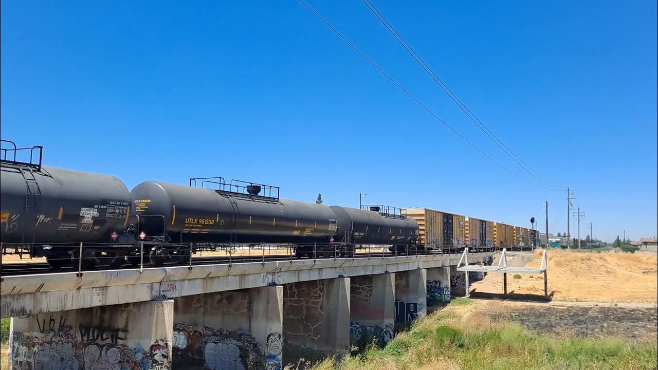 UP Snoot nose spotted - YouTube