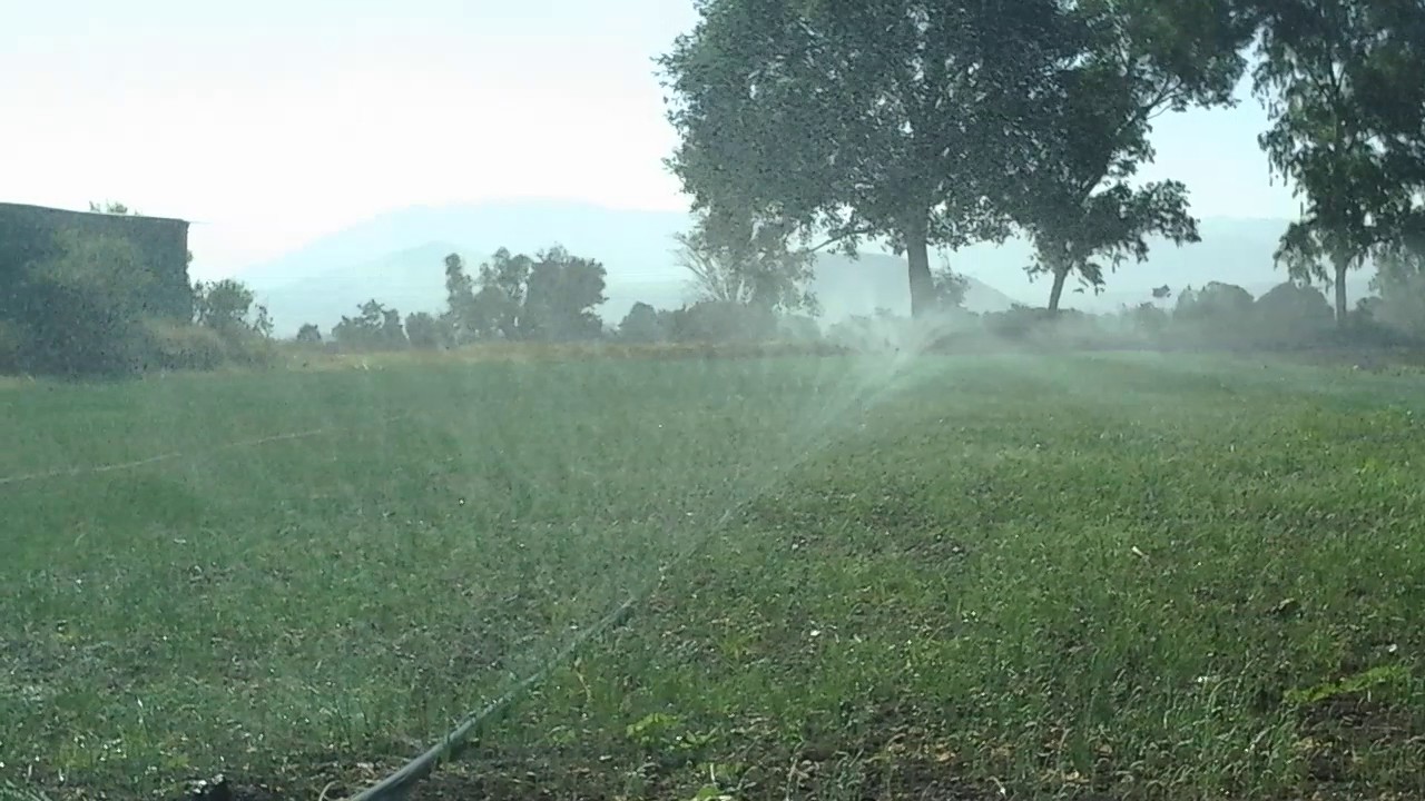 Driptech Leaser Spray(Rain Pipe/ Rain Hose/Spray Pipe) Installation ...