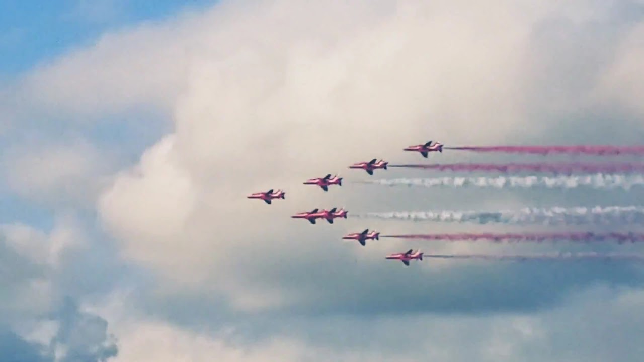 Amazing flies - YouTube