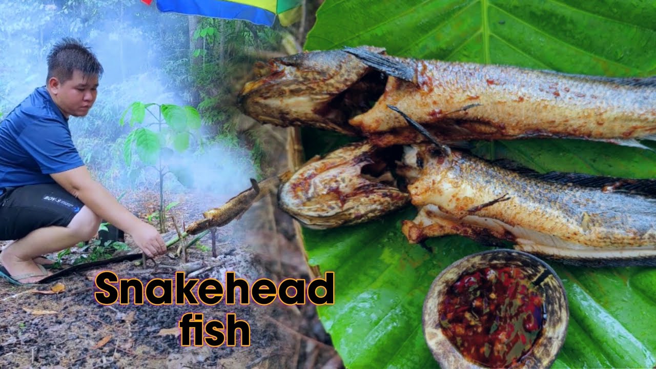 Swamp Serenity: Traditional Snakehead Fishing and Grilled Delights ...