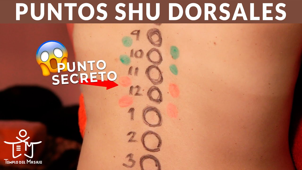🙌 Los 12 PUNTOS SHU de la MEDICINA TRADICIONAL CHINA (MTC) ⛩️ ACUPUNTURA DORSAL - YouTube