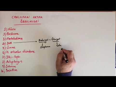 9.Sınıf Canlıların Ortak Özellikleri