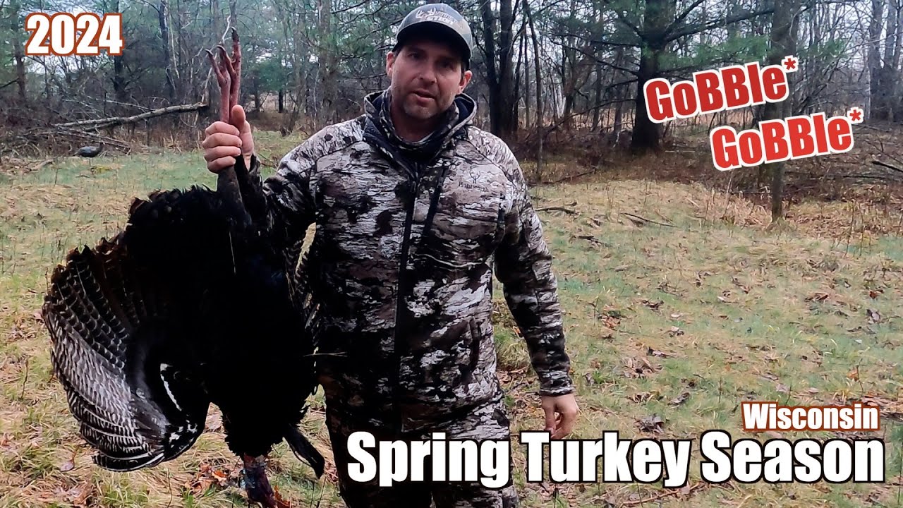 "Turkey Action" Spring Turkey Season 2024-Turkeys gobbling everywhere ...