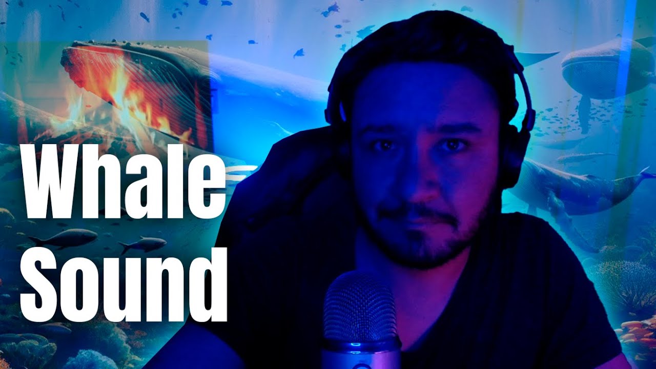 Whale Sounds Deep Underwater for Sleep and Relaxation | ASMR - YouTube