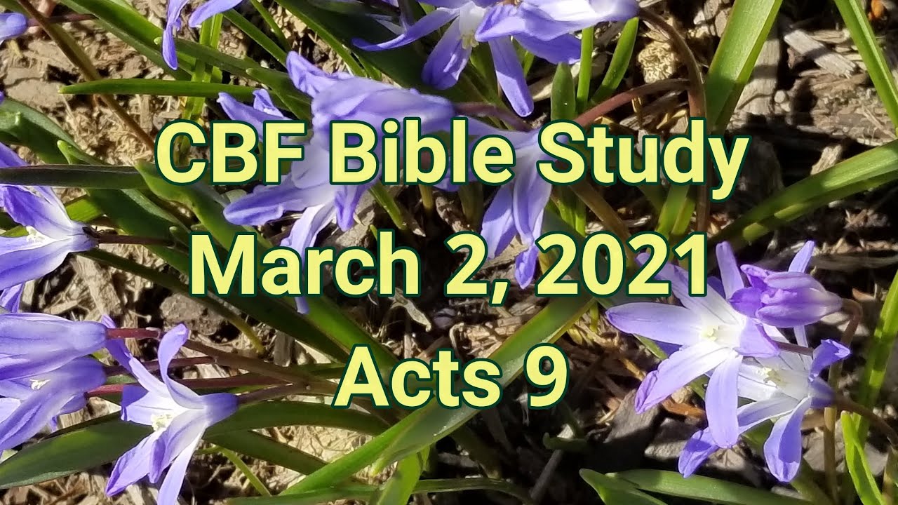 CBF Bible study March 2, 2021 - YouTube