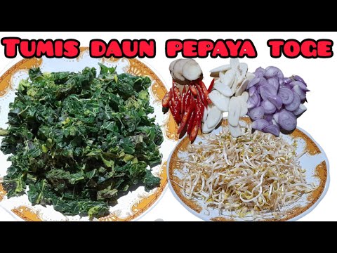 Tumis daun pepaya toge || masakan rumahan simple murah meriah. bikin nafsu makan.