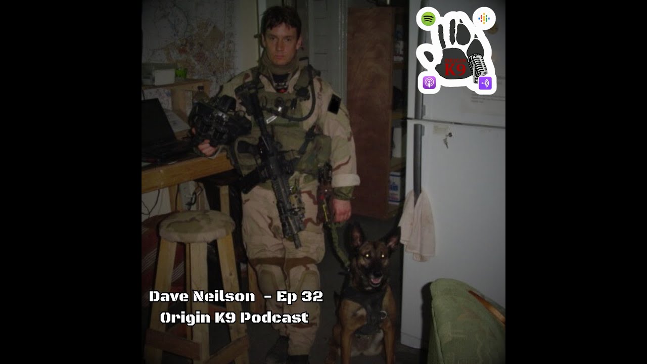 Ep 32 - Dave Neilson Origin K9 Podcast - YouTube