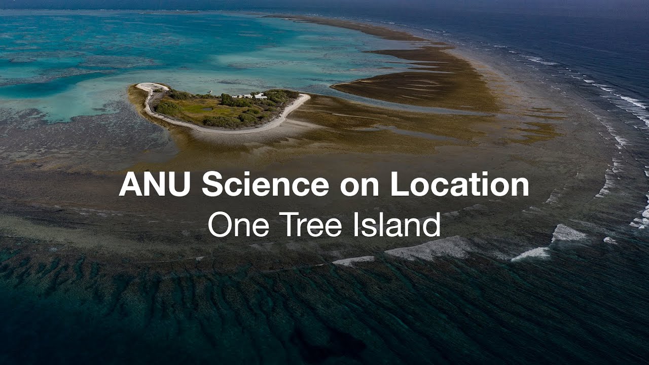 ANU Science on Location: One Tree Island - YouTube