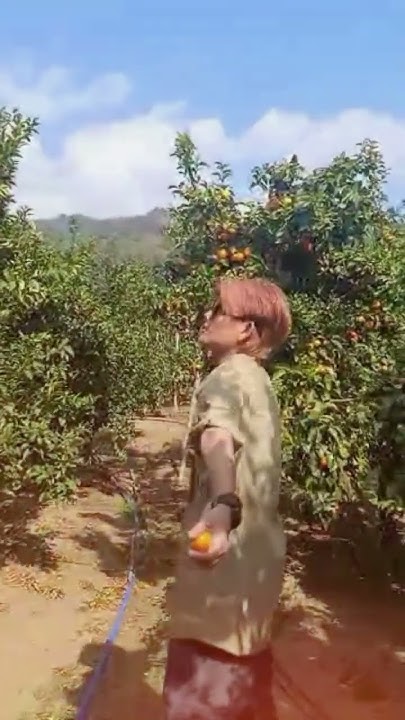 China လိမ္မော်ခြံသို့အလည်ရောက်ခဲ့🍊🍊 Youtube