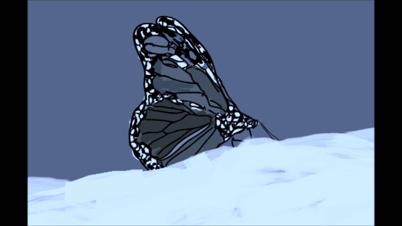 Butterfly on the Snow - YouTube