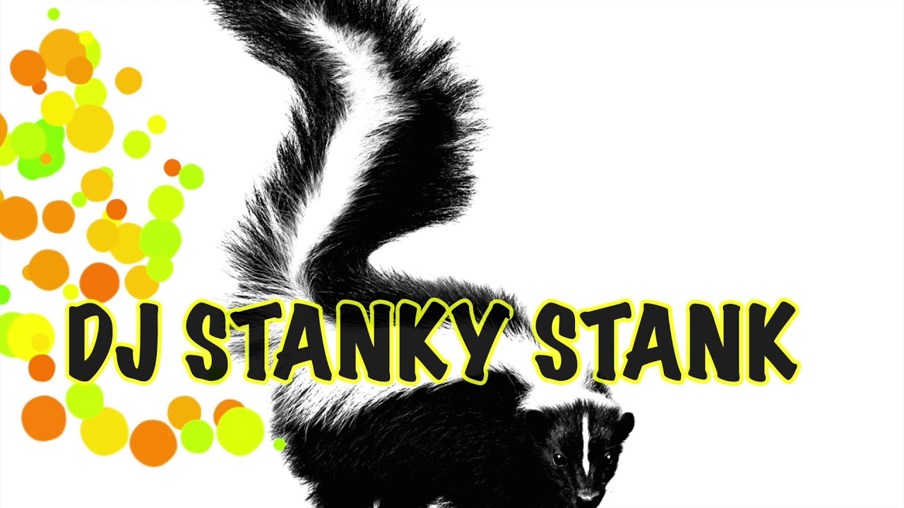 WAP - DJ Stanky Stank Remix - YouTube