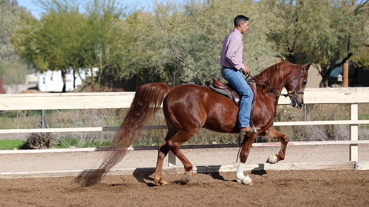 Adonas video 1 - YouTube