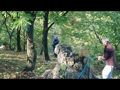 FİKRET AKGÜN BEYDAĞ ERİKLİ 12 KASIM 2018 İLK UYGULAMA  3