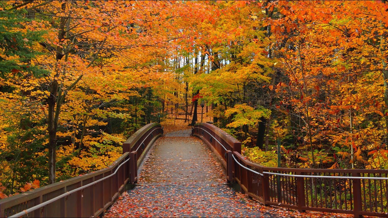 Autumn | Erie, Pennsylvania 2020 - YouTube