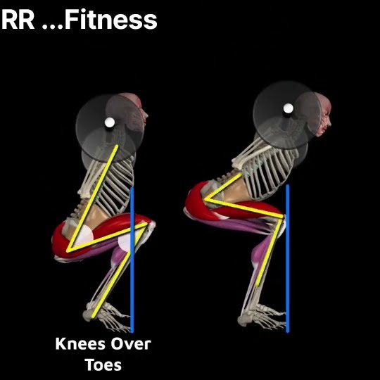 Knees over toes in squats #shorts #legs #fitness #views #anatomy #likes ...