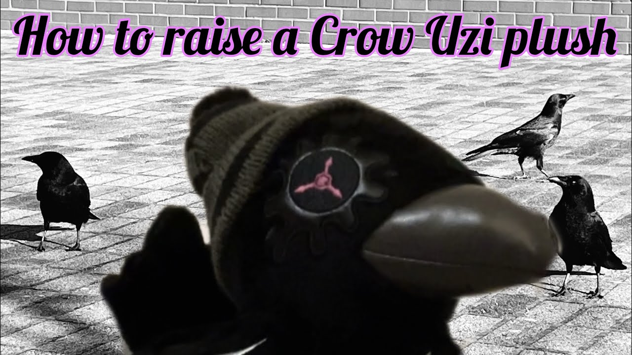 How to raise a CrowUzi plush - YouTube
