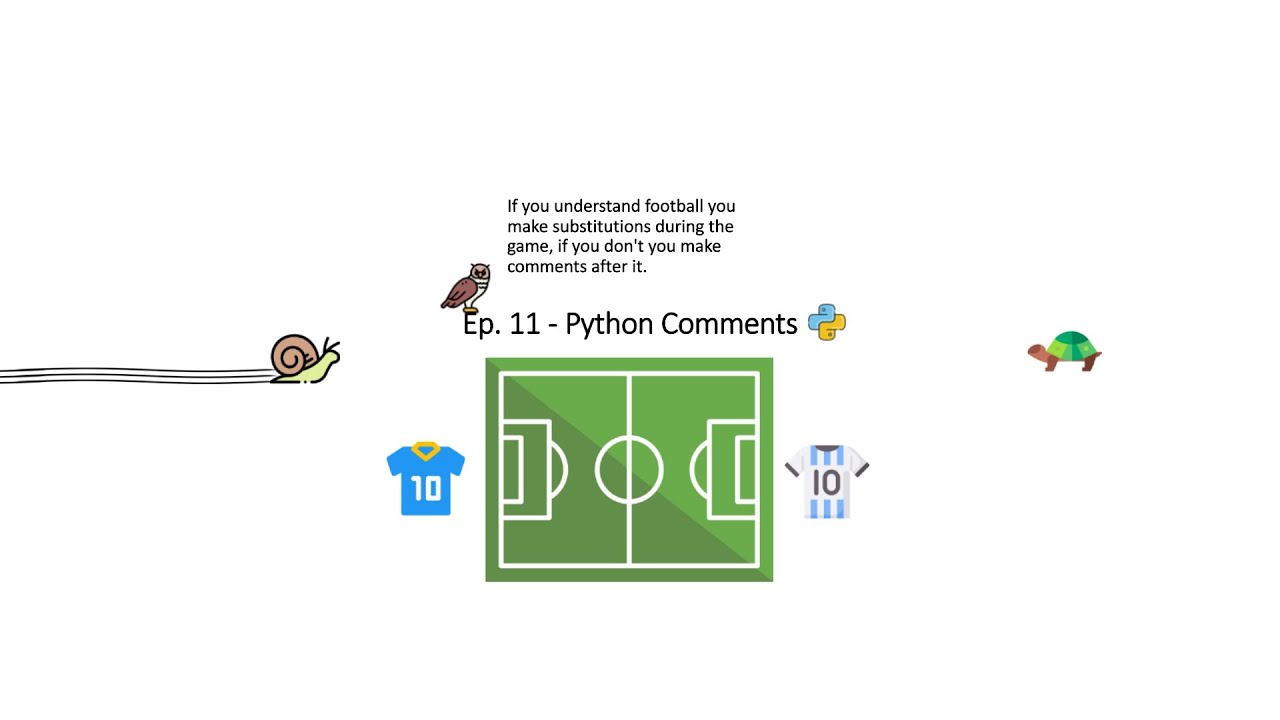 Episode 12 Python Comments ⚽ Youtube 8043