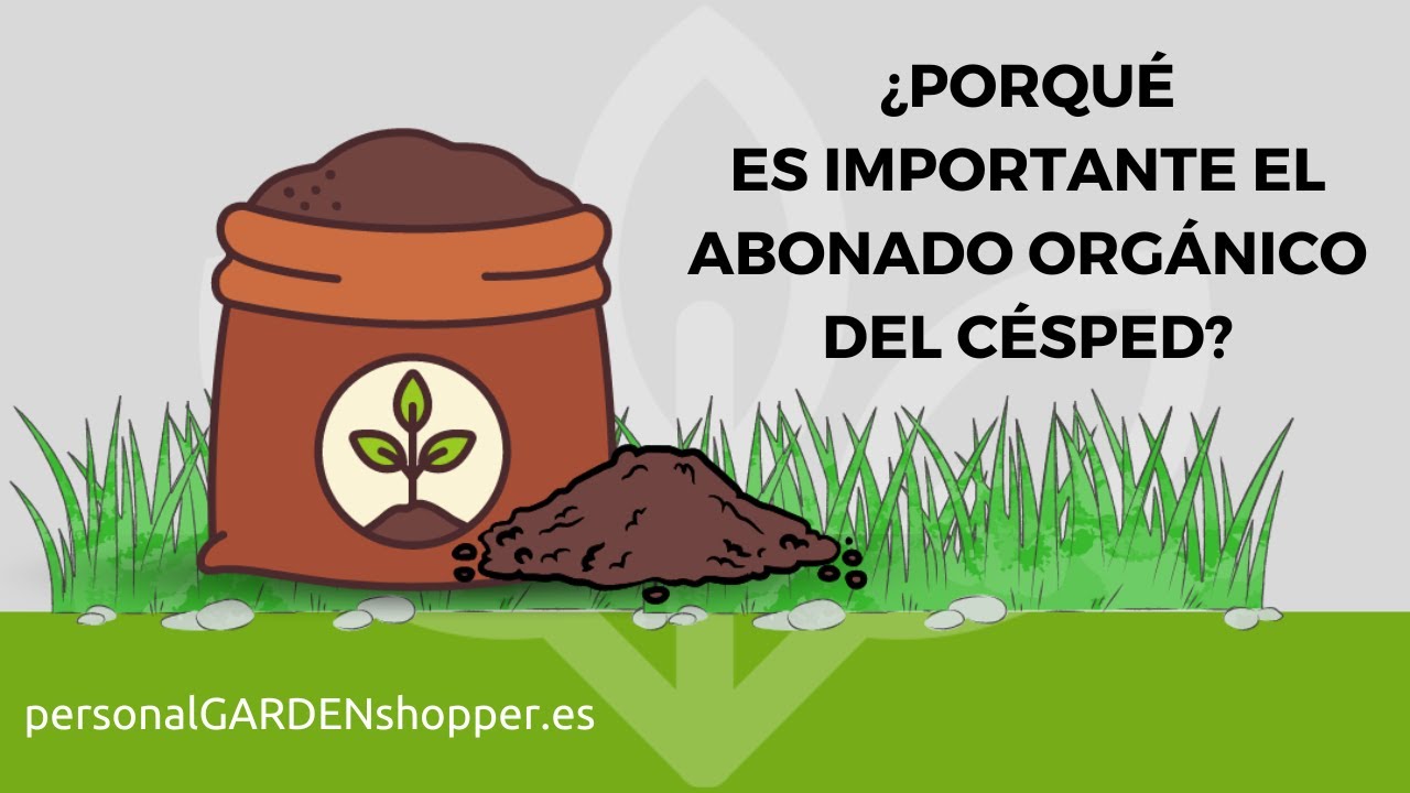 ¿PORQUÉ ES IMPORTANTE EL ABONADO ORGÁNICO DEL CÉSPED? - YouTube