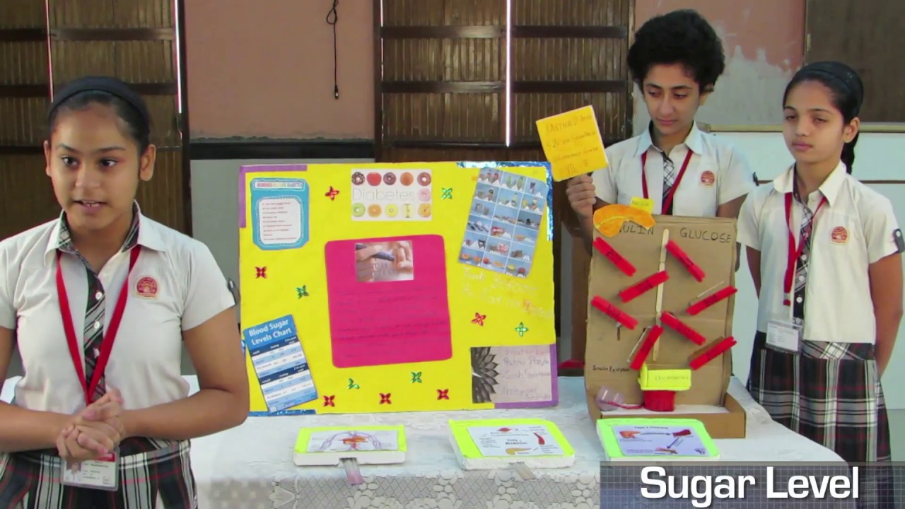 1st Science Exhibition - YouTube