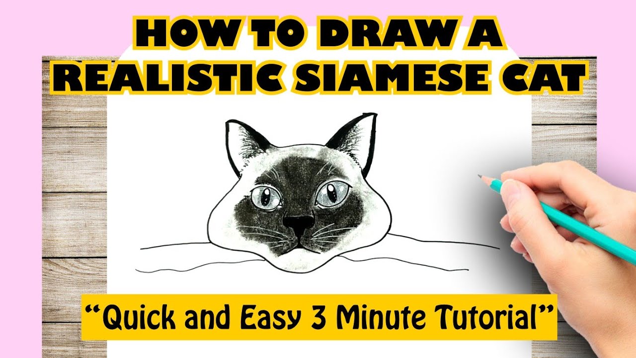 How to Draw A Realistic Siamese Cat | Cat Face Drawing - YouTube