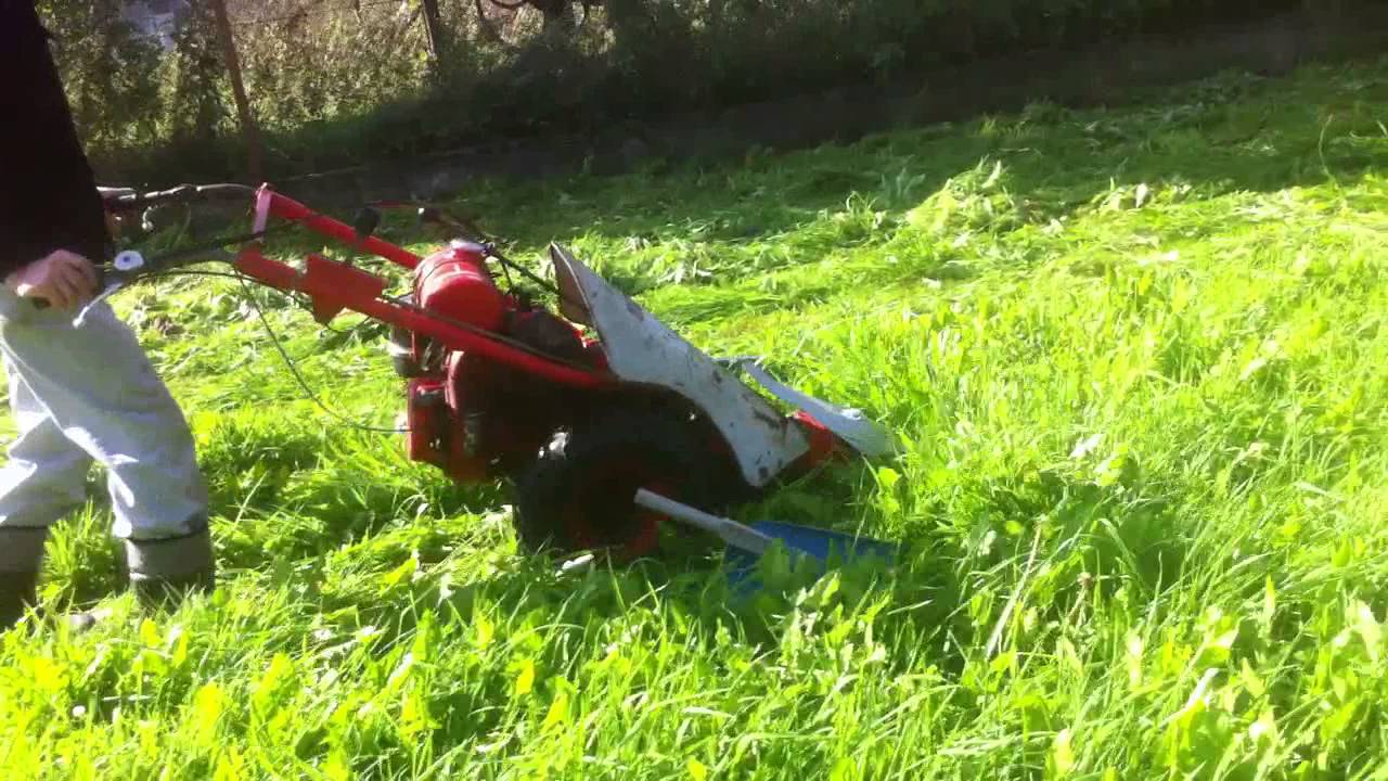 Ciagnik, MF-70, MF70, MF 70, Kosa listwowa, Koszenie trawy, Mower, Dzik ...