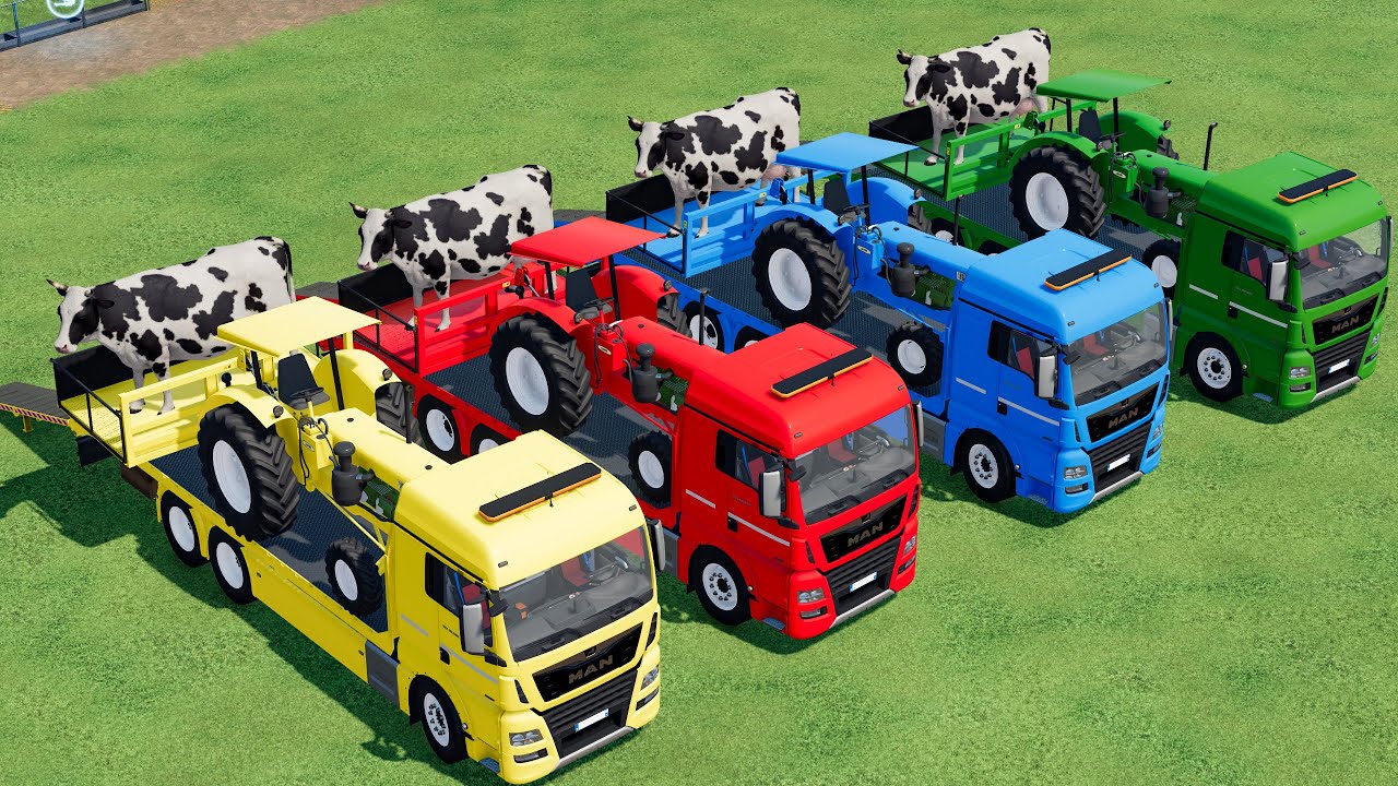 COW TRANSPORT with MINI TRACTORS ! Farming Simulator 22 #fs22 # ...