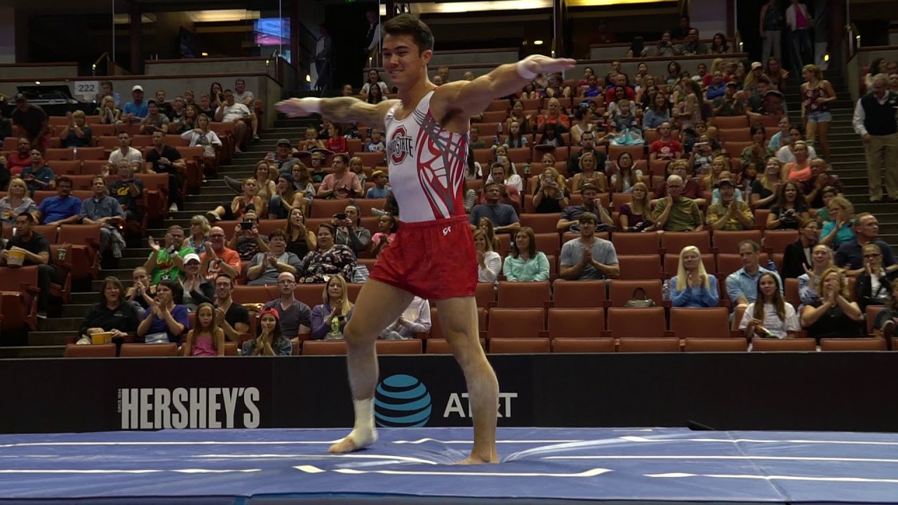 Sean Melton - Vault - 2017 P&G Championships - Senior Men - Day 2 - YouTube