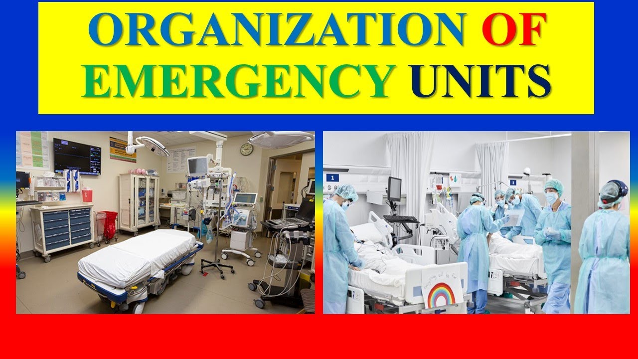 ORGANIZATION OF EMERGENCY UNITS - YouTube