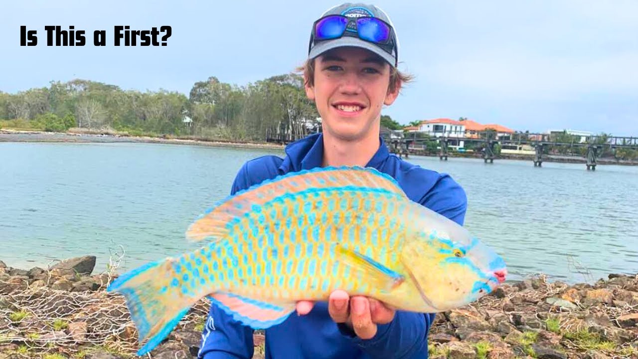 Sunshine Coast Canal Fishing | PARROT FISH! - YouTube