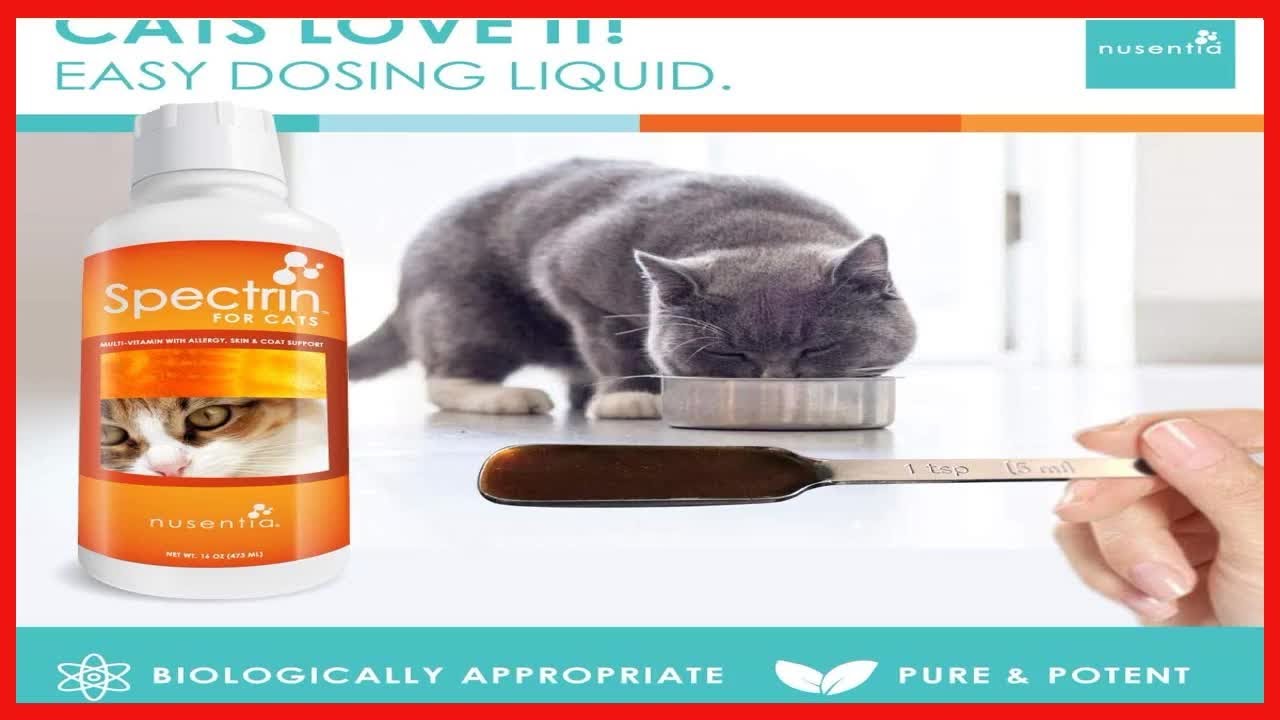 Cat Vitamins - Spectrin 16 OZ - Liquid Vitamin & Antioxidant Supplement ...