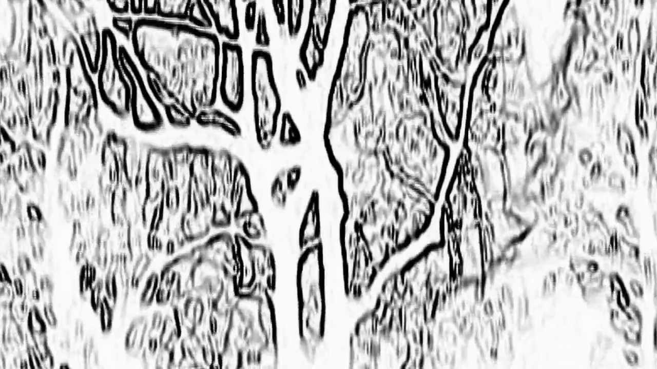 Il cielo quando piove - musica - Angelo Lizzio - YouTube